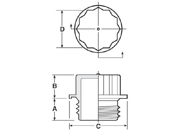 Threaded Plugs for British Standard Pipe Fittings | BSP Series | Caplugs
