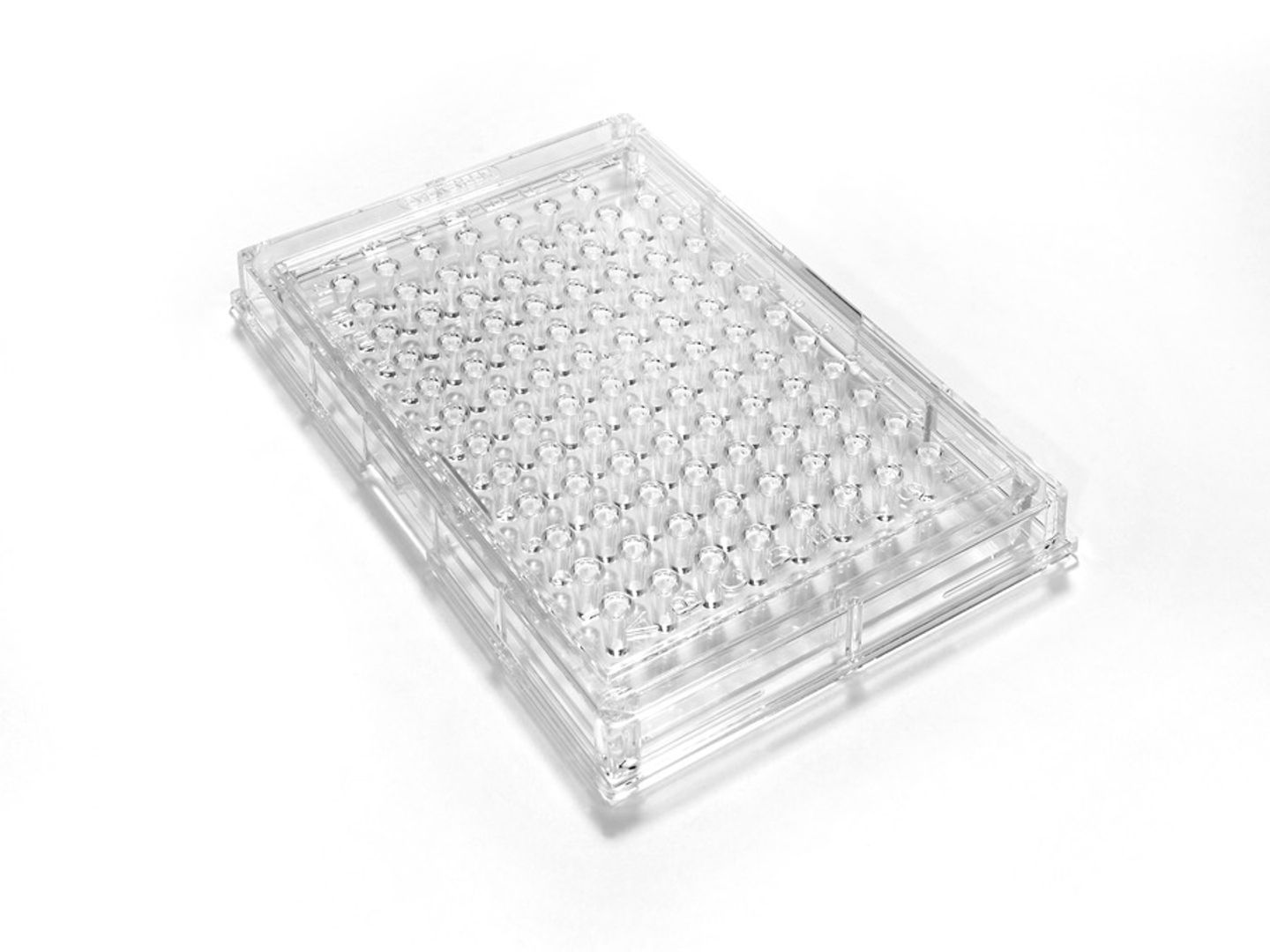 50 mL Bulk Tubes and Caps | Evergreen