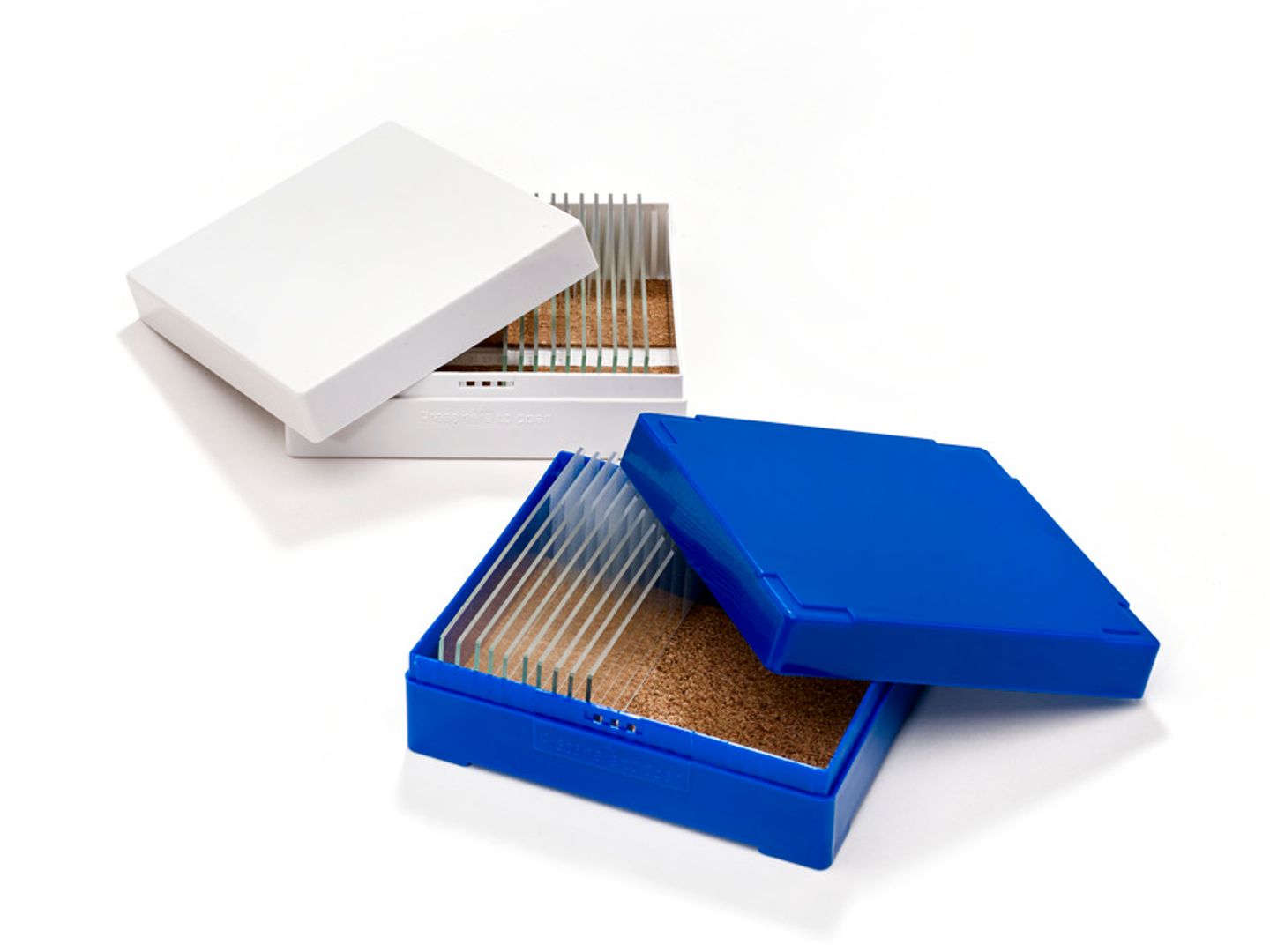 Mini Columns | Evergreen