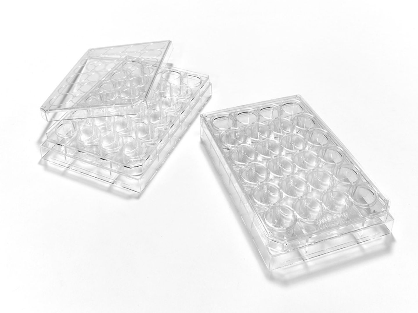 TC 24-Well Plates | Evergreen